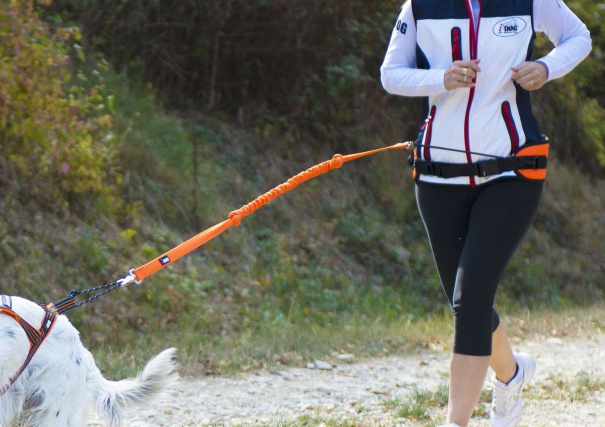 Canicross Gurt I-Dog One | SW10195